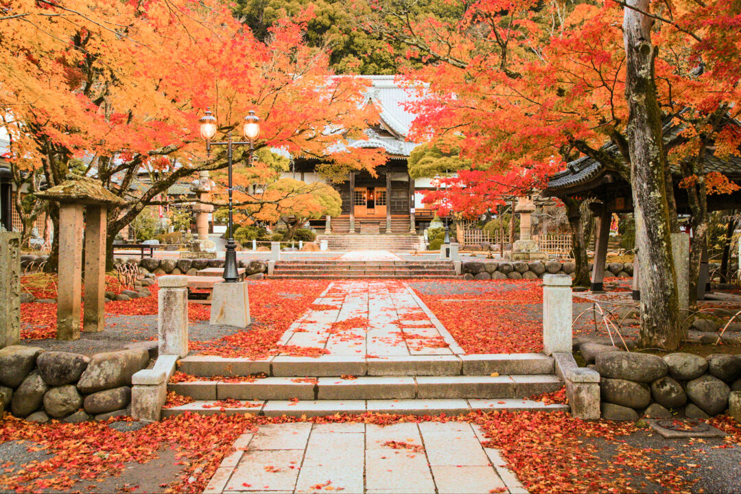 What to Eat When You're in Shuzenji