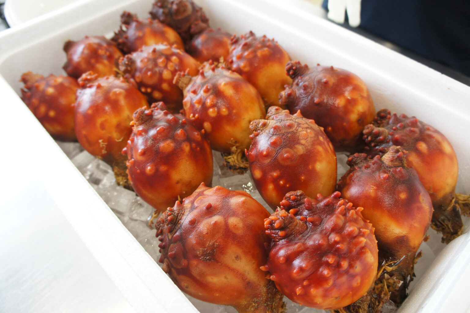 Miyagi Prefecture Food: 12 Delicious Signature Dishes to Try on Your ...