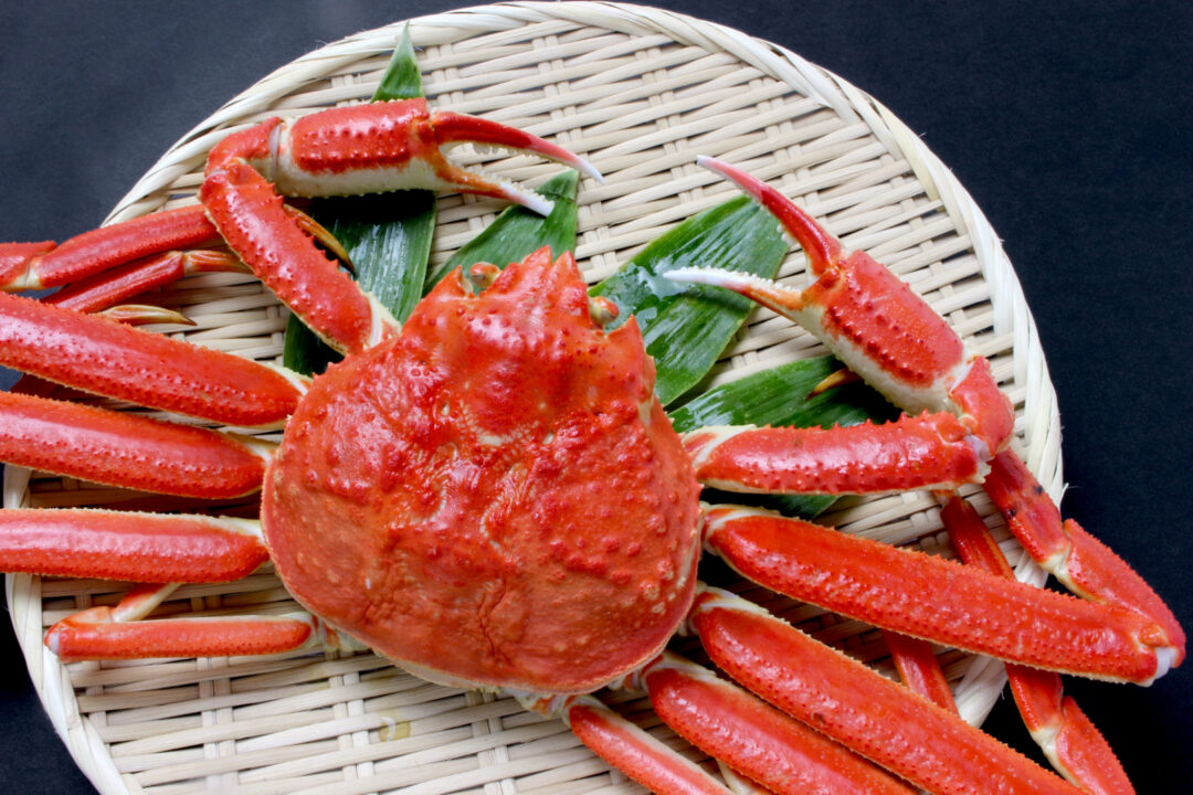 Yummy Kani: 4 Types of Delicious Japanese Crab
